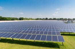 Complete Guide to Solar Farms | Everything You Need to Know