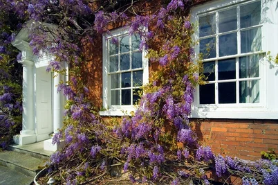 Sash Windows London | Repair Costs | 2025