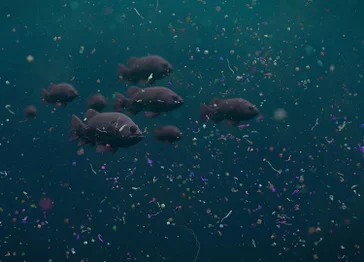 Here’s Why Nurdles Are Killing the Ocean - The Eco Experts