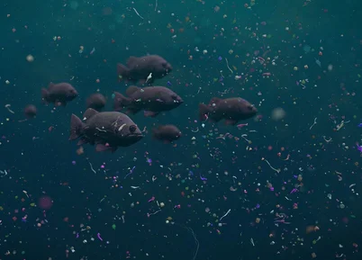 Here’s Why Nurdles Are Killing the Ocean - The Eco Experts