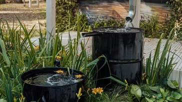 How to do rainwater collection at home | The Eco Experts