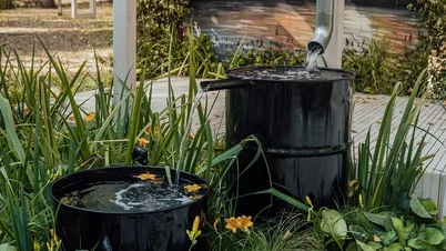 How to collect rainwater at home | The Eco Experts