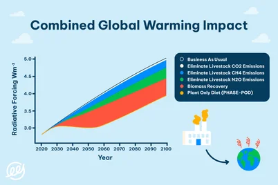 Can Climate Change Be Reversed? | The Eco Experts