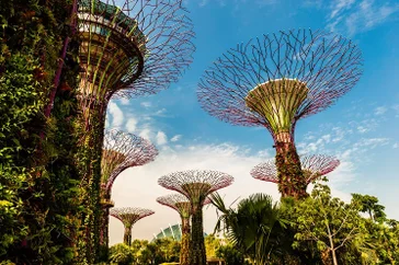 The Complete Guide To Solar Trees | The Eco Experts