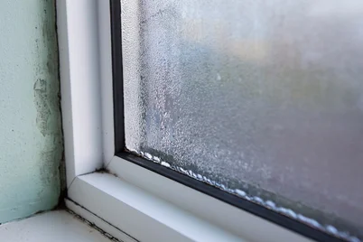 How to tackle mould on double-glazed windows | The Eco Experts