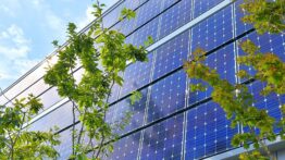 Solar Panel Fences | Costs & Benefits (2024)